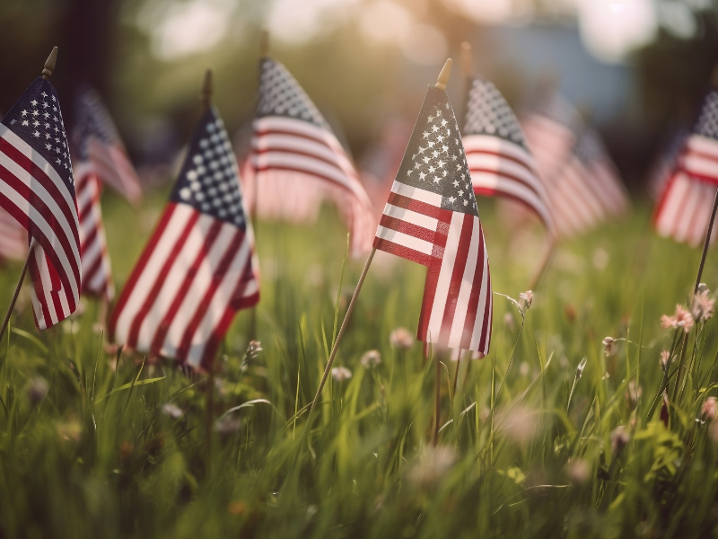 10 Tips to Stay Safe and Sound on Memorial Day – Prepared Hero