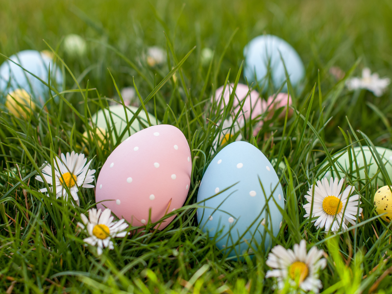7 Safety Tips for a Fun and Safe Easter – Prepared Hero
