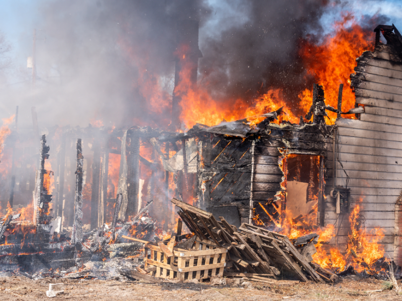 Fire Safety for Pets: The Ultimate Guide – Prepared Hero