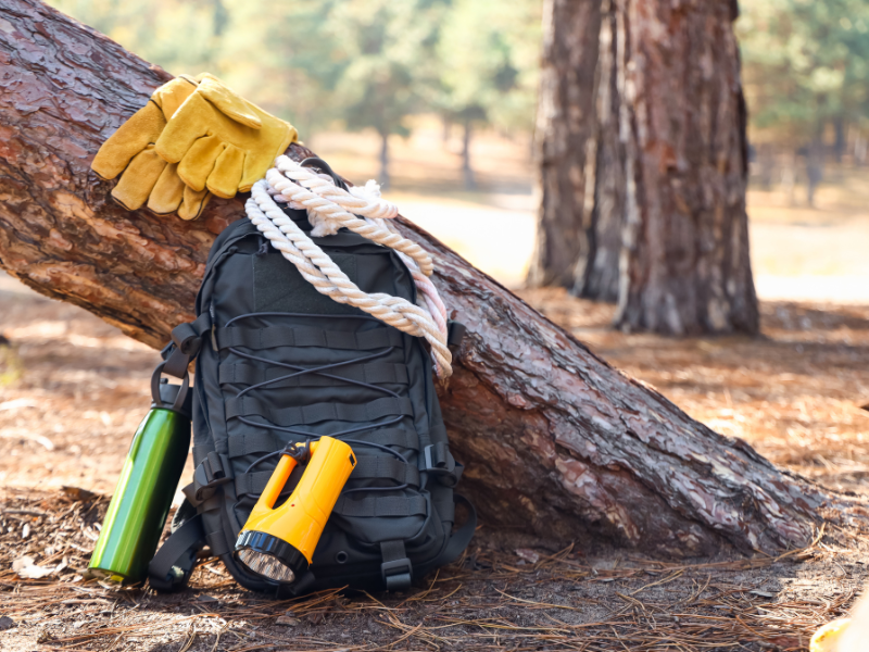 Top 10 Items for Your Wilderness Survival Kit List – Prepared Hero